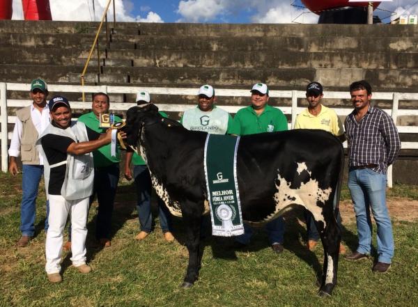 Exposição de Resende Costa abre Circuito do Núcleo das Gerais ...